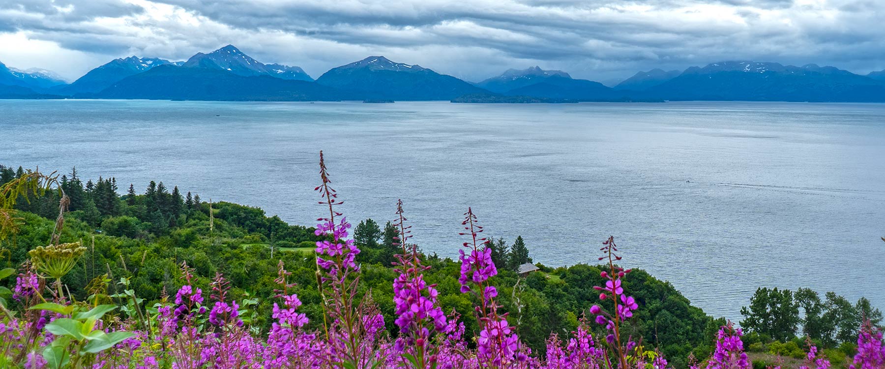 Homer Alaska Bed And Breakfast Association